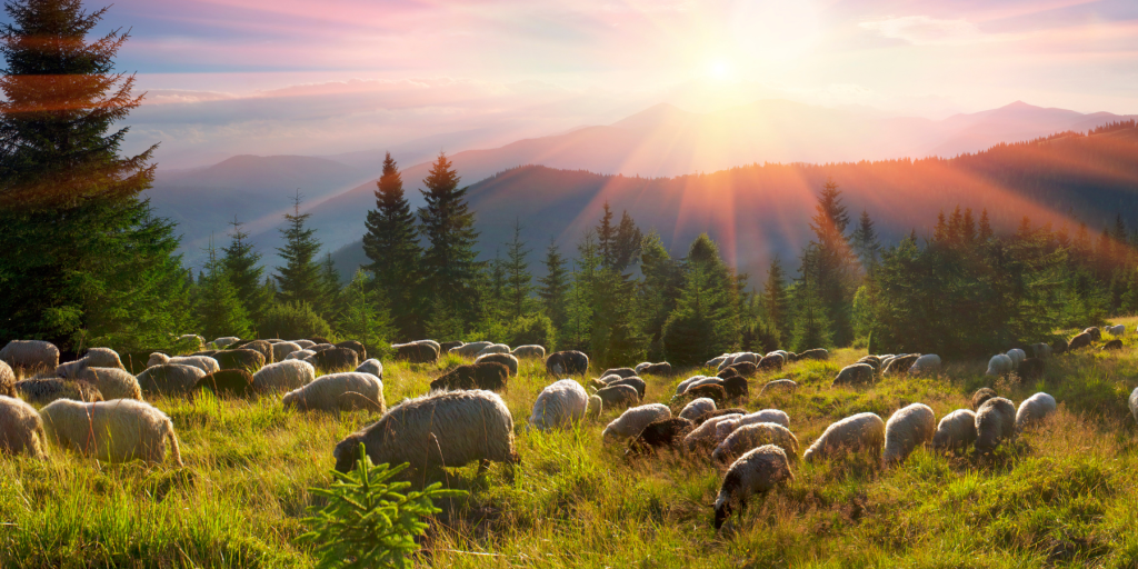 Announcing Rev. Jeremiah Williamson, Bishop-Elect - Episcopal Diocese ...